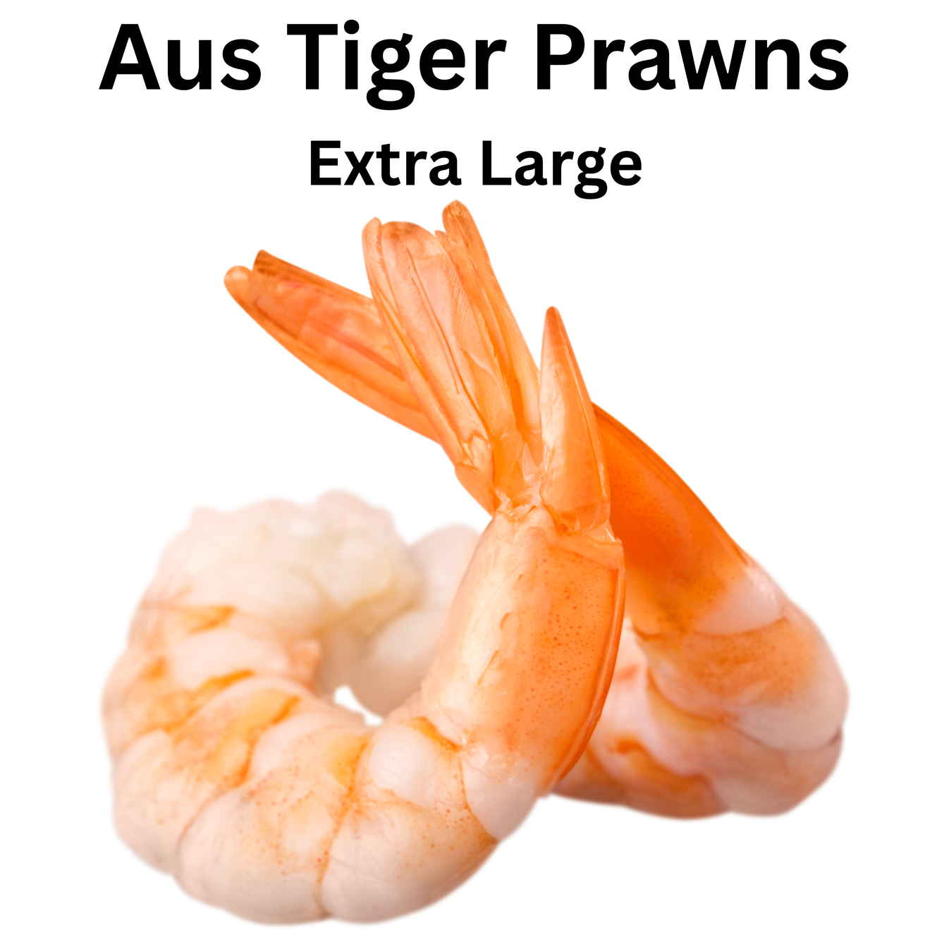 Extra Large Prawns - no head, with shell – Wholesale Freeze Dried Foods