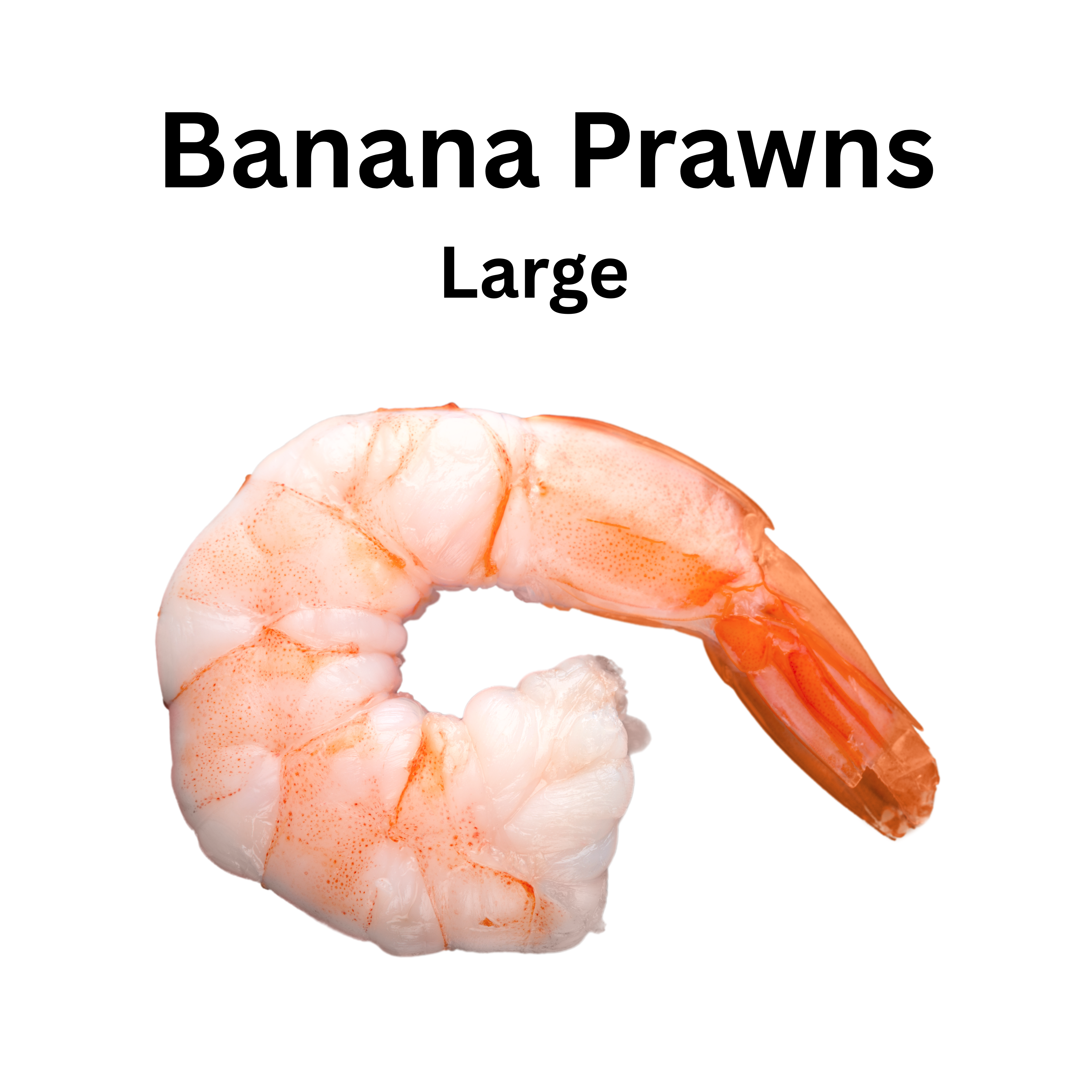 Large Prawns - no head, no shell – Wholesale Freeze Dried Foods